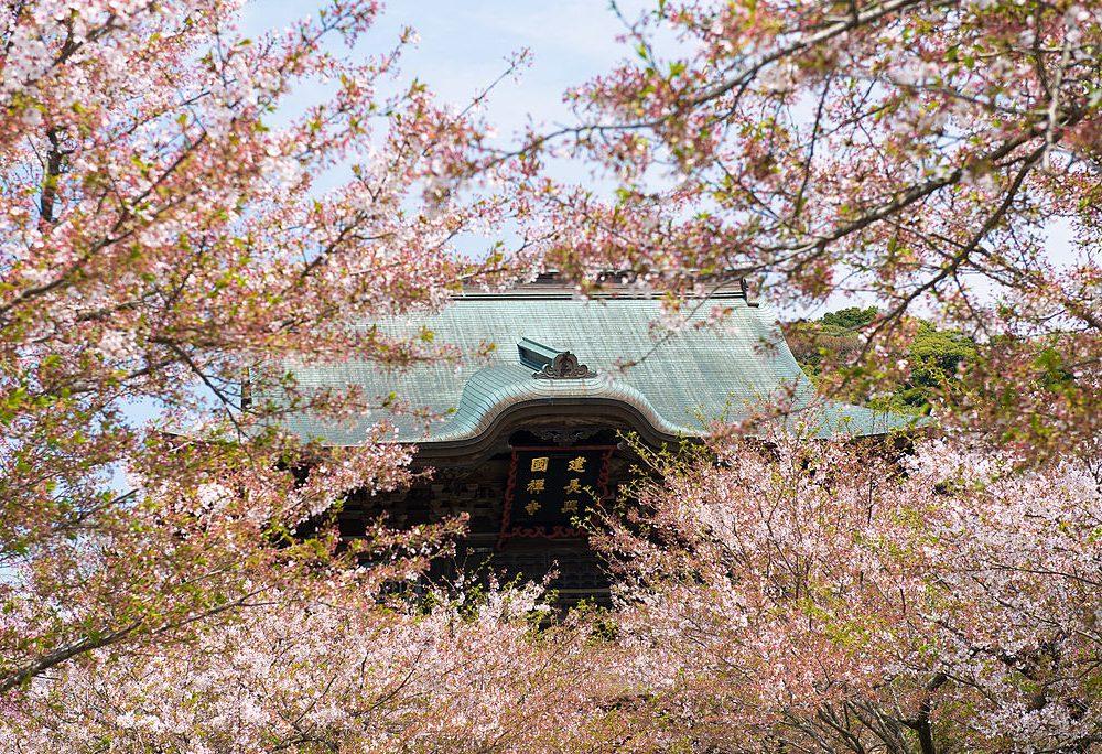 Zen Monasteries in Japan: Which to Visit - The Wom Travel
